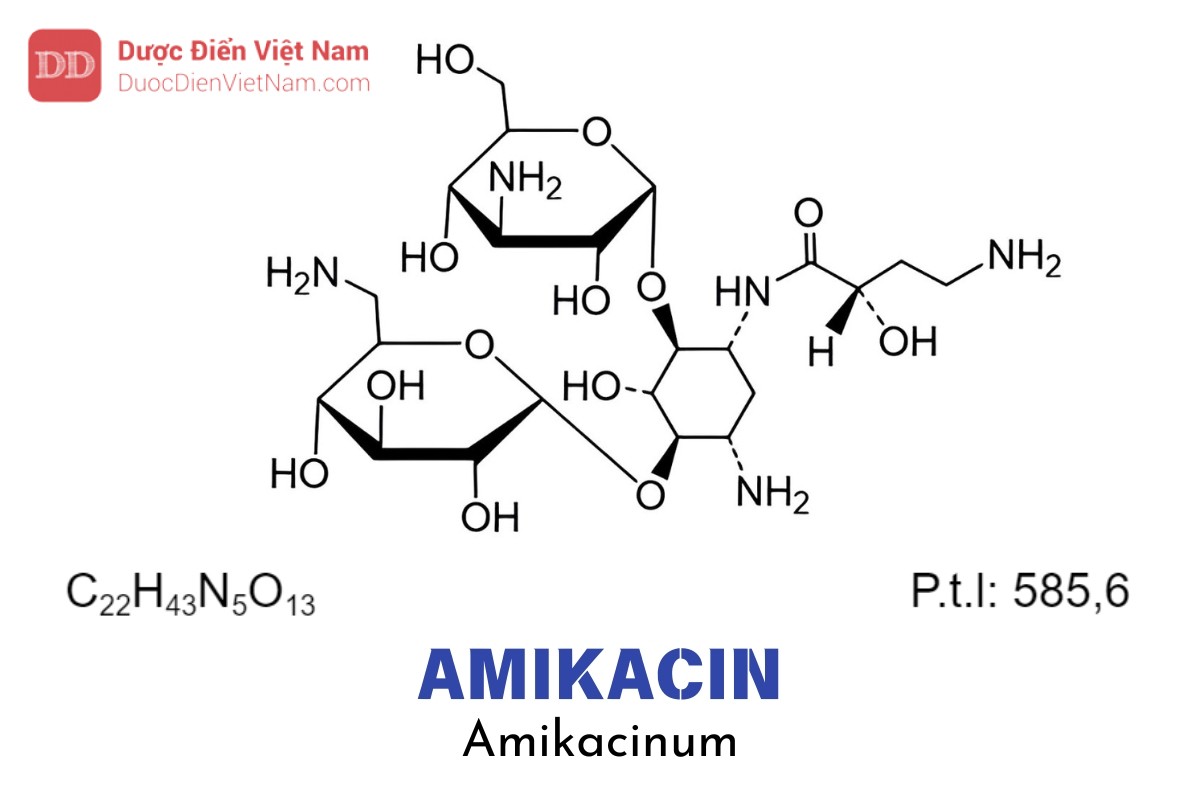 AMIKACIN (Amikacinum) - Dược Điển Việt Nam 5
