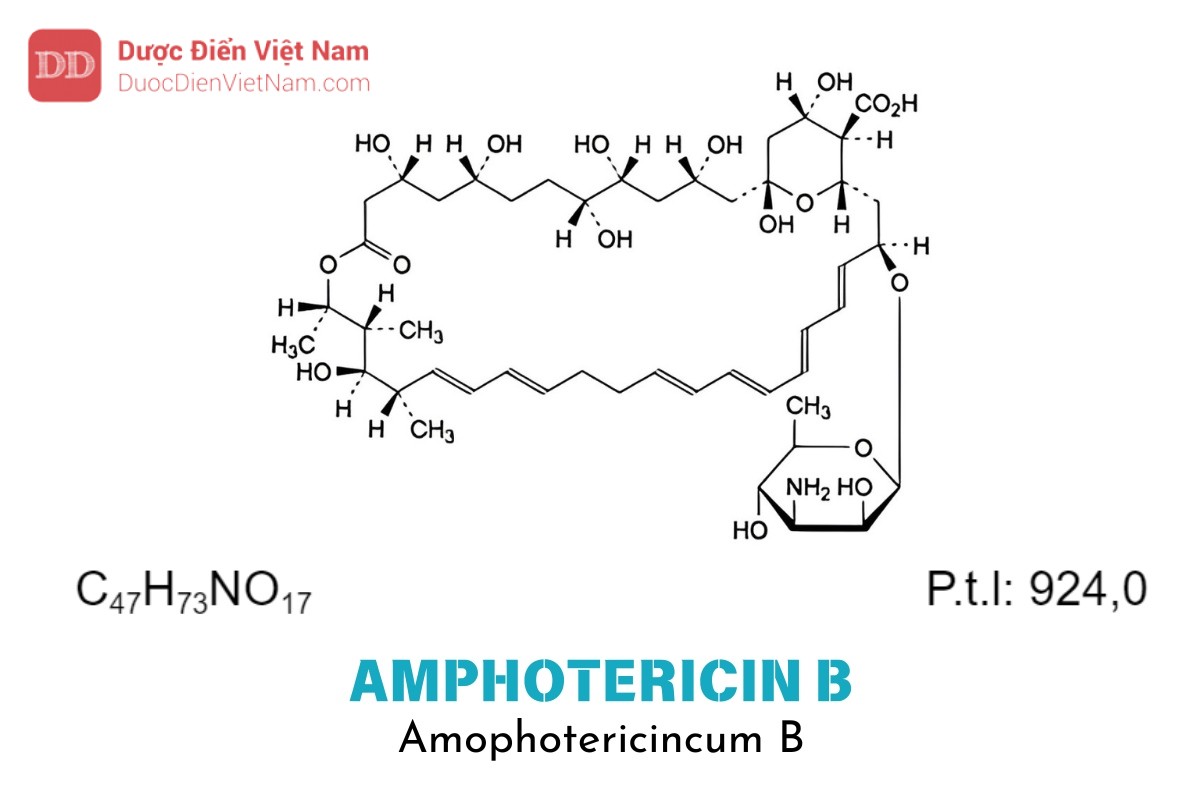 AMPHOTERICIN B (Amophotericincum B) - Dược Điển Việt Nam 5