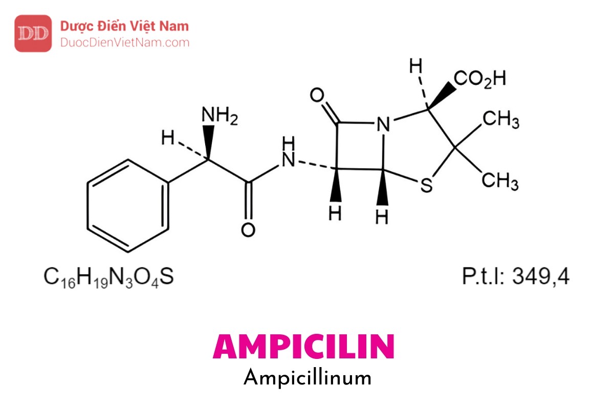 AMPICILIN (Ampicillinum) - Dược Điển Việt Nam 5