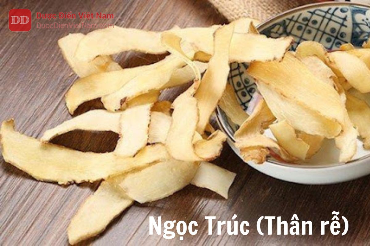Ngọc Trúc (Thân rễ) (Rhizoma Polygonati odorati) - Dược Điển Việt Nam 5