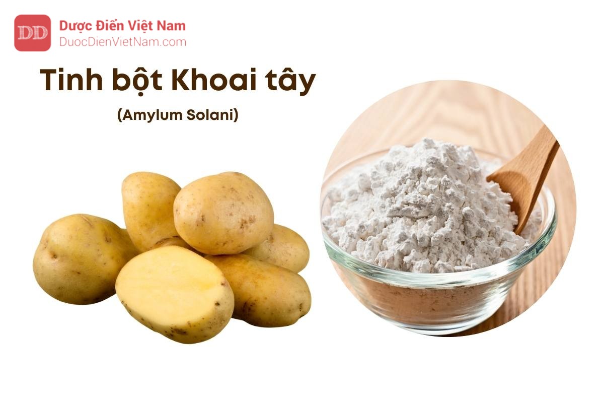 TINH BỘT KHOAI TÂY (Amylum Solani) – Dược Điển Việt Nam 5