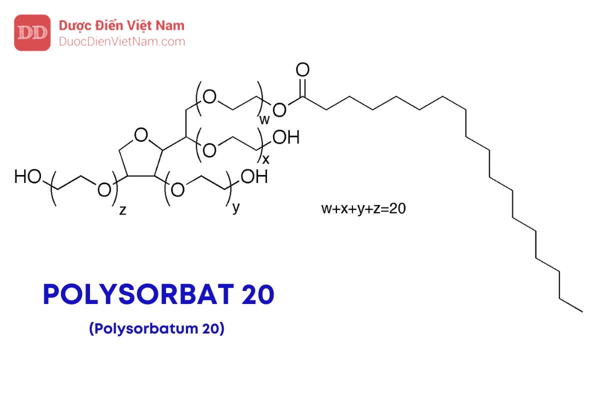 POLYSORBAT 20 (polysorbatum 20) – Dược Điển Việt Nam 5