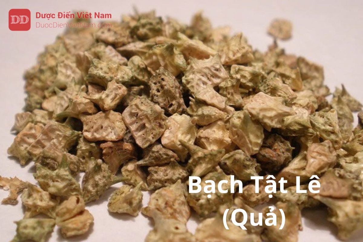 Bạch Tật Lê (Quả) (Fructus Tribuli terrestris) - Dược Điển Việt Nam 5