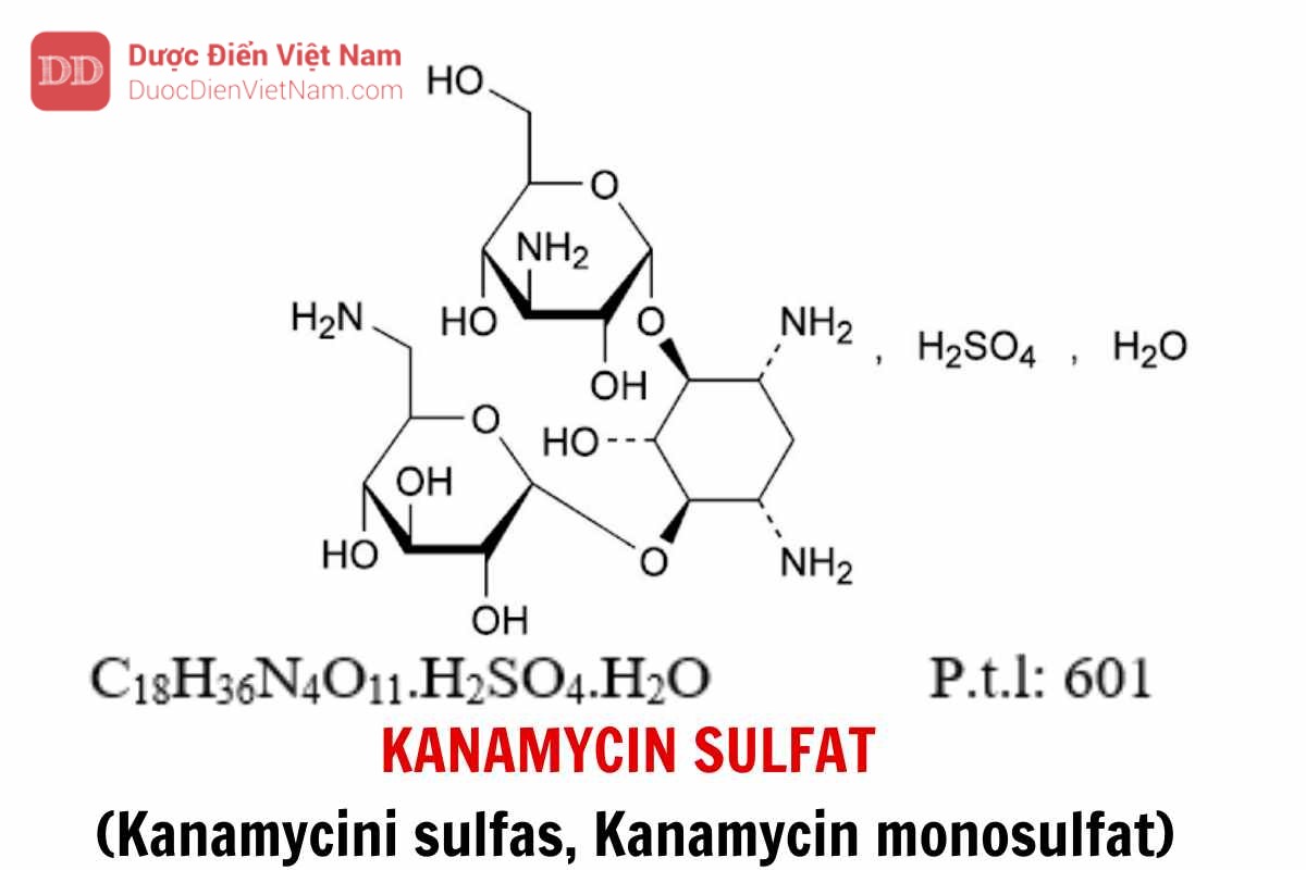 KANAMYCIN SULFAT (Kanamycini sulfas, Kanamycin monosulfat) - Dược điển ...