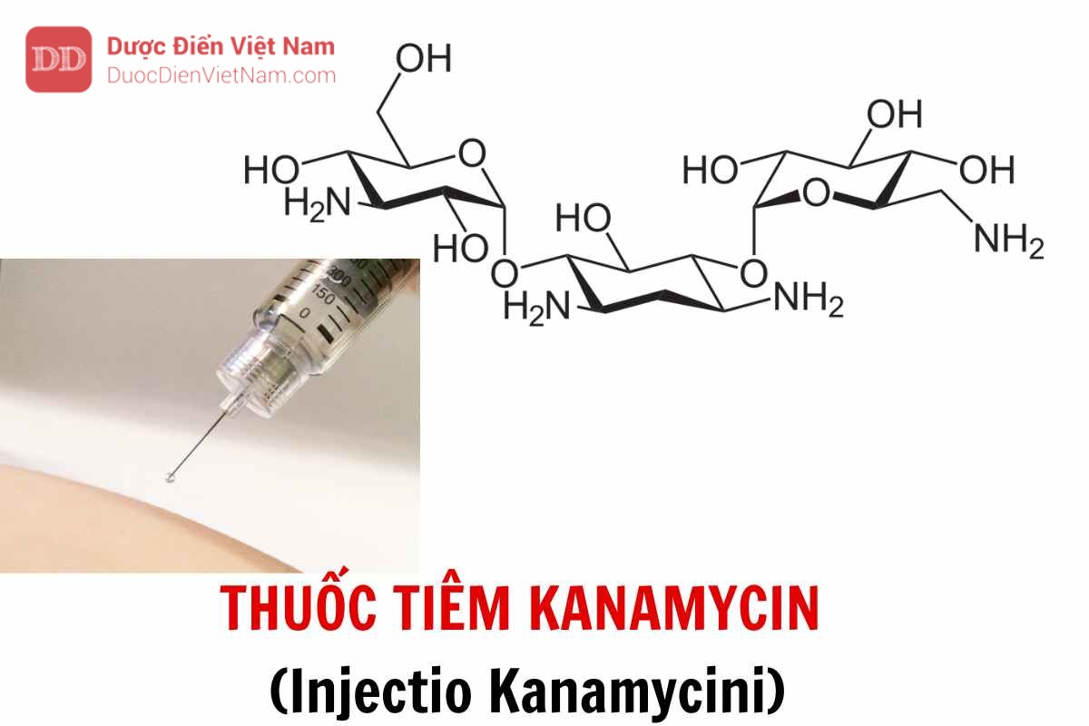 THUỐC TIÊM KANAMYCIN (Injectio Kanamycini) - Dược điển Việt Nam 5