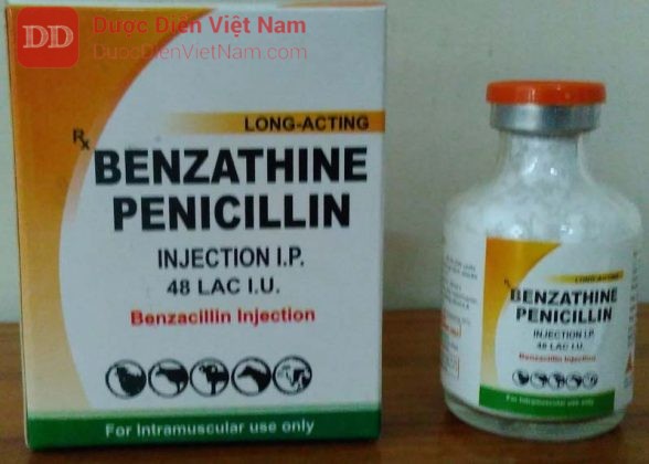 BỘT PHA TIÊM BENZATHIN BENZYLPENICILIN - Dược Điển Việt Nam