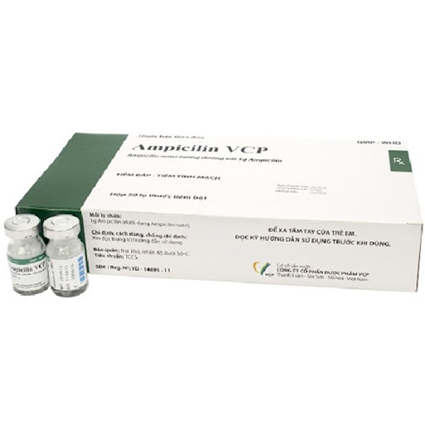 Thuốc Ampicillin 1g VCP - DIỆT KHUẨN hiệu quả