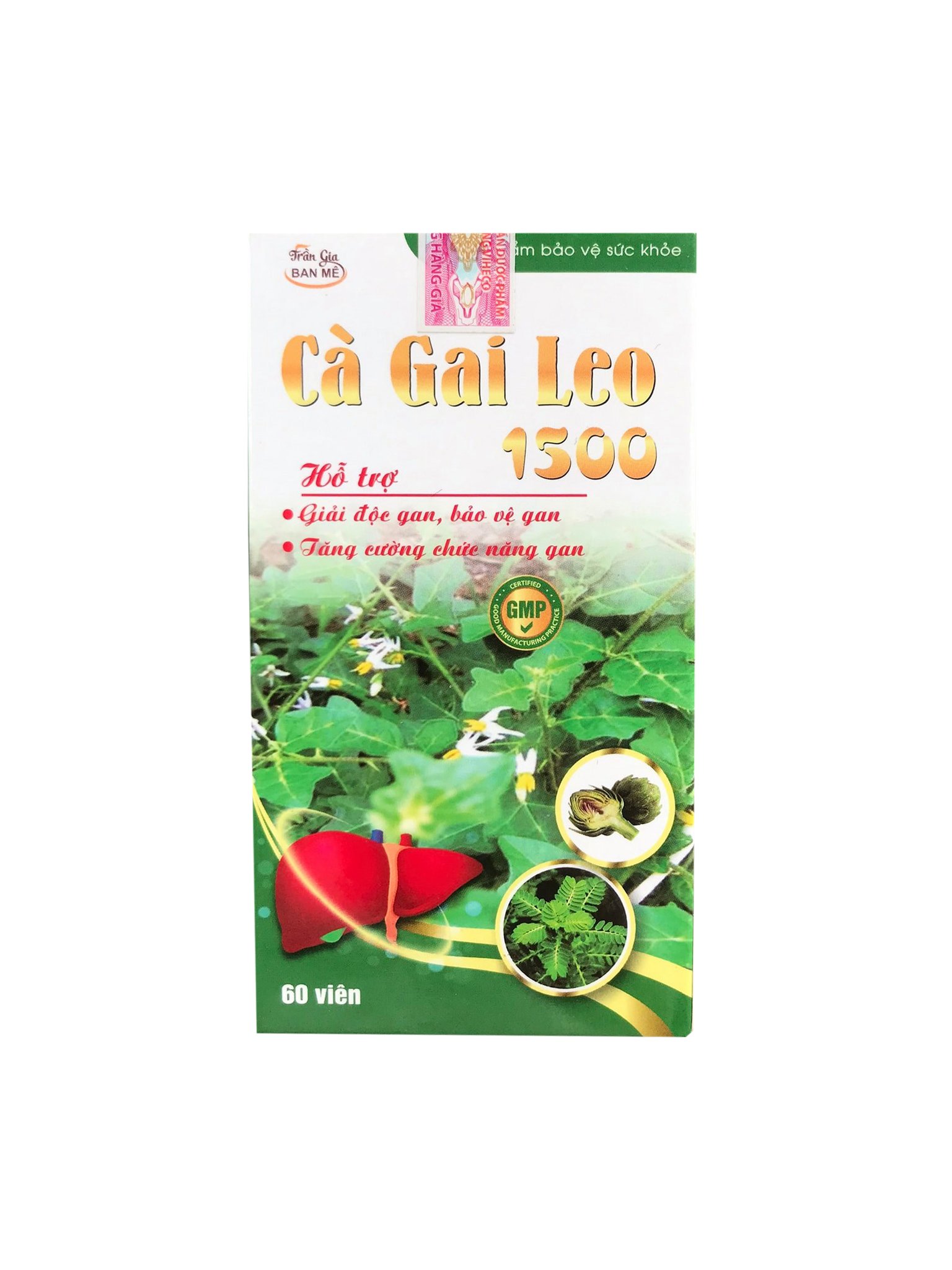 Cà gai leo 1500-Sản phẩm bảo vệ gan chuyên gia khuyên dùng